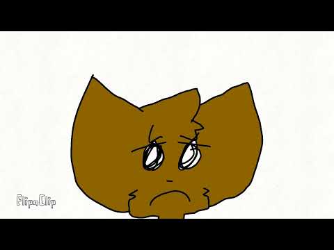 Me hitting chipsy the cat