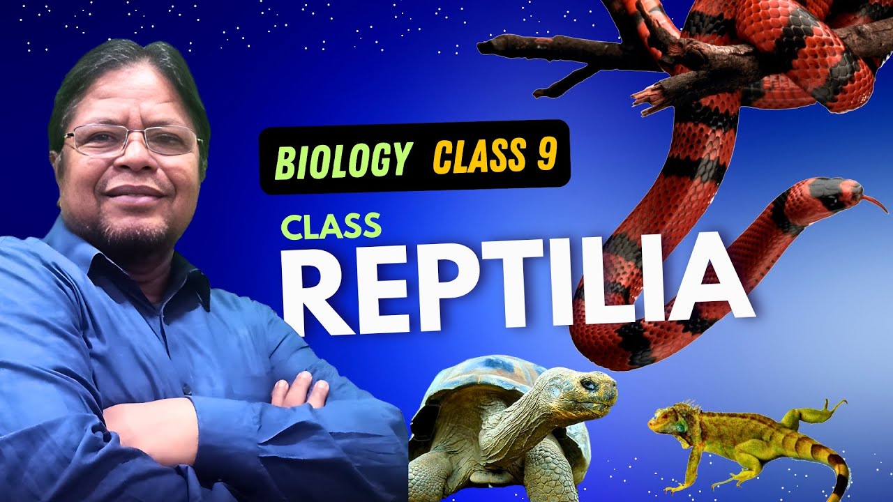 Class Reptilia: Characteristics & Common Examples | Class 9 Biology ...