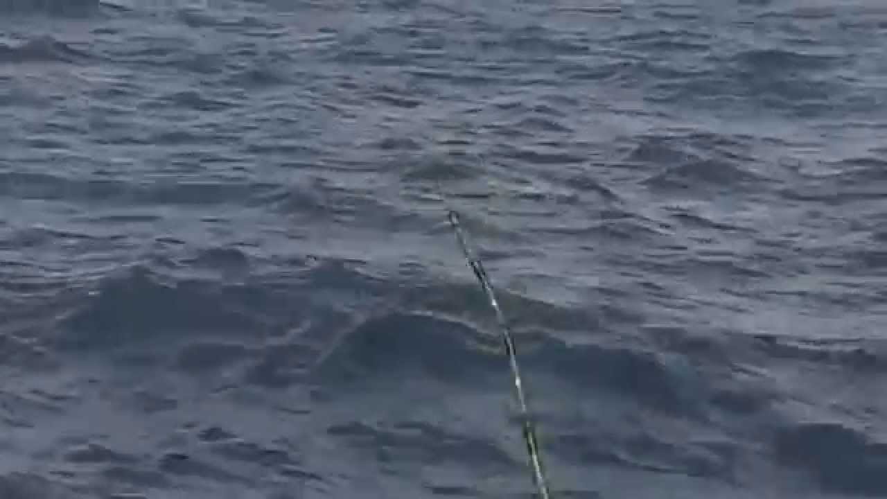 Fishing the FAD (Fish Attractive Devices) - YouTube