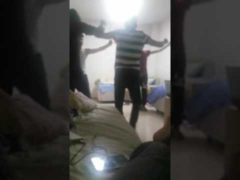 Erik dalı gevrektir