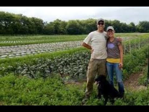 Interseeding Cover Crops into Established Vegetables with Dana Jokela ...