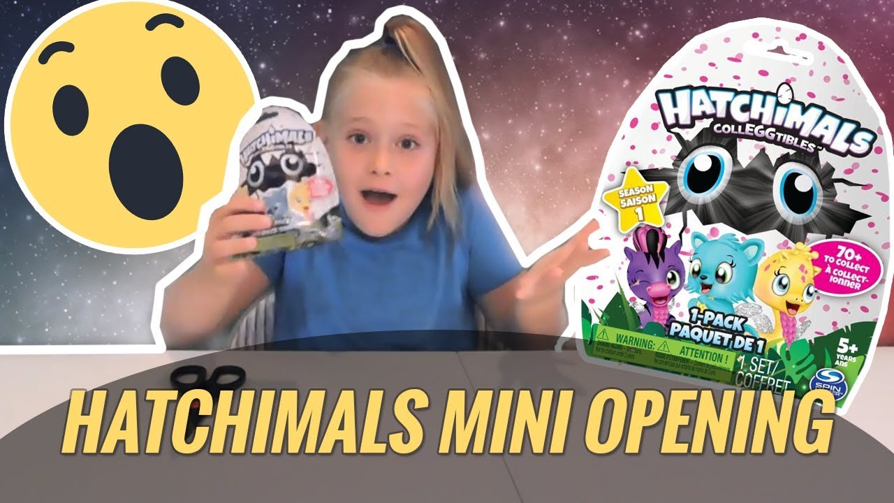Hatchimal Surprise Eggs and Hatchimals Colleggtibles and Blind Bags ...