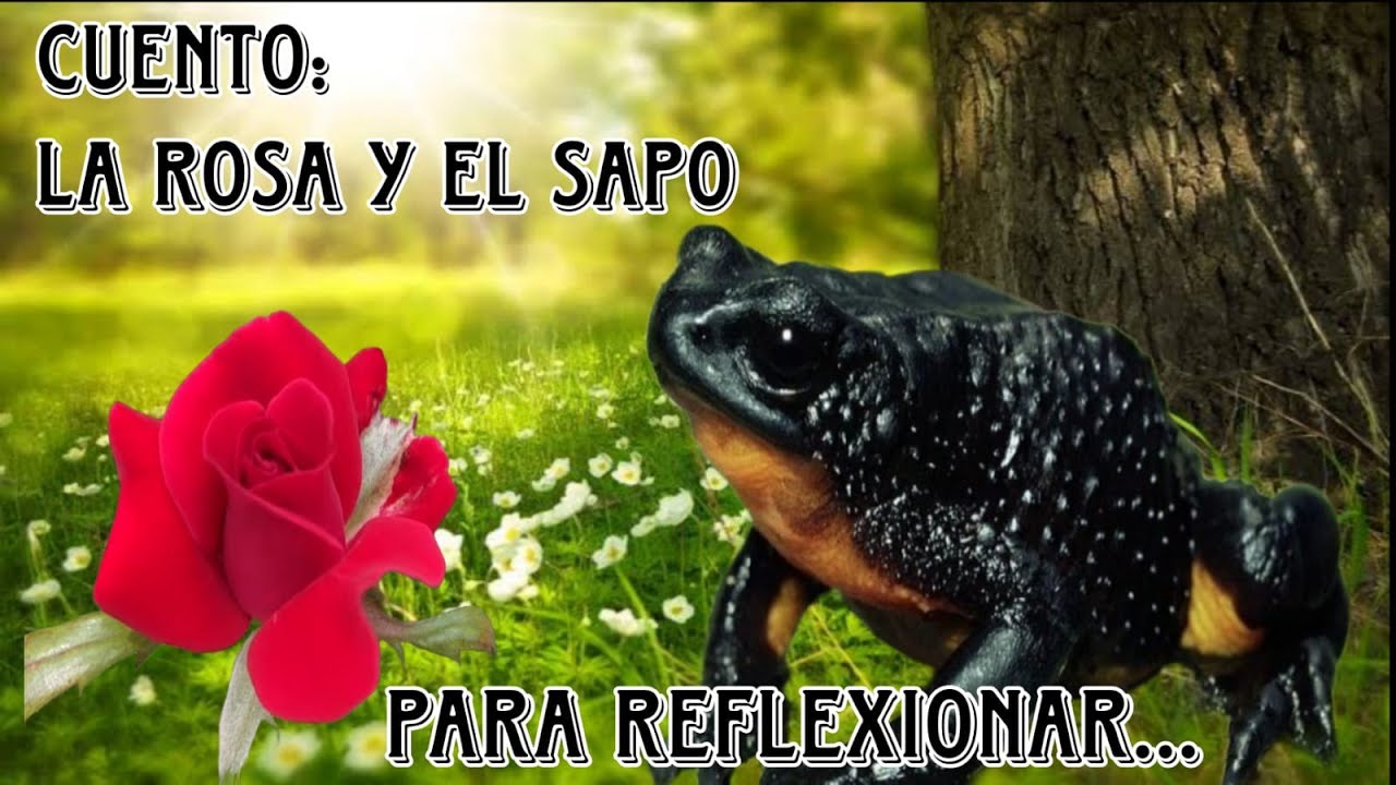 La rosa y el sapo- Cuento para reflexionar - YouTube