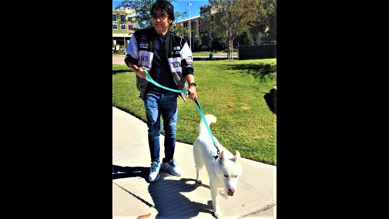 In my life (cover) Jun Battad, Music arrangement by Gerry Samson 2 24 ...