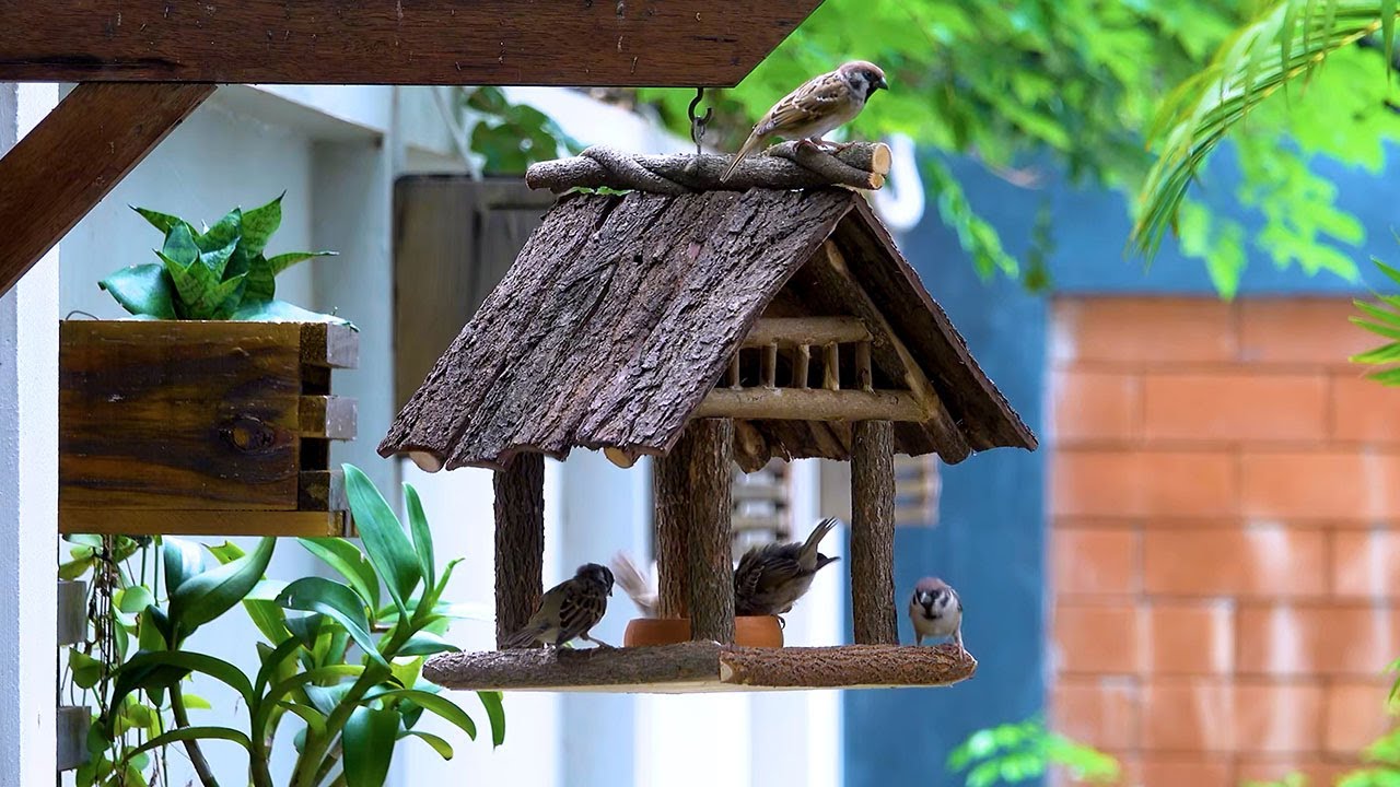 Make Rustic Log Bird Feeder - YouTube