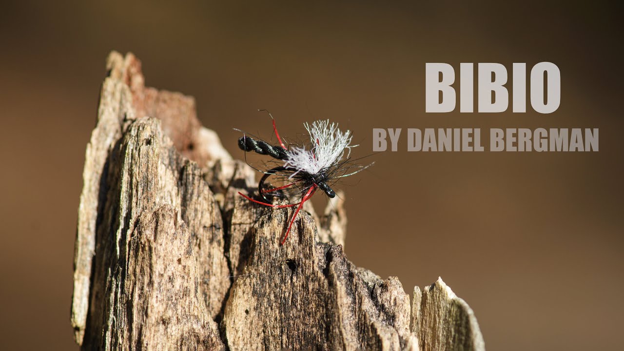 Bibio by Daniel Bergman - YouTube