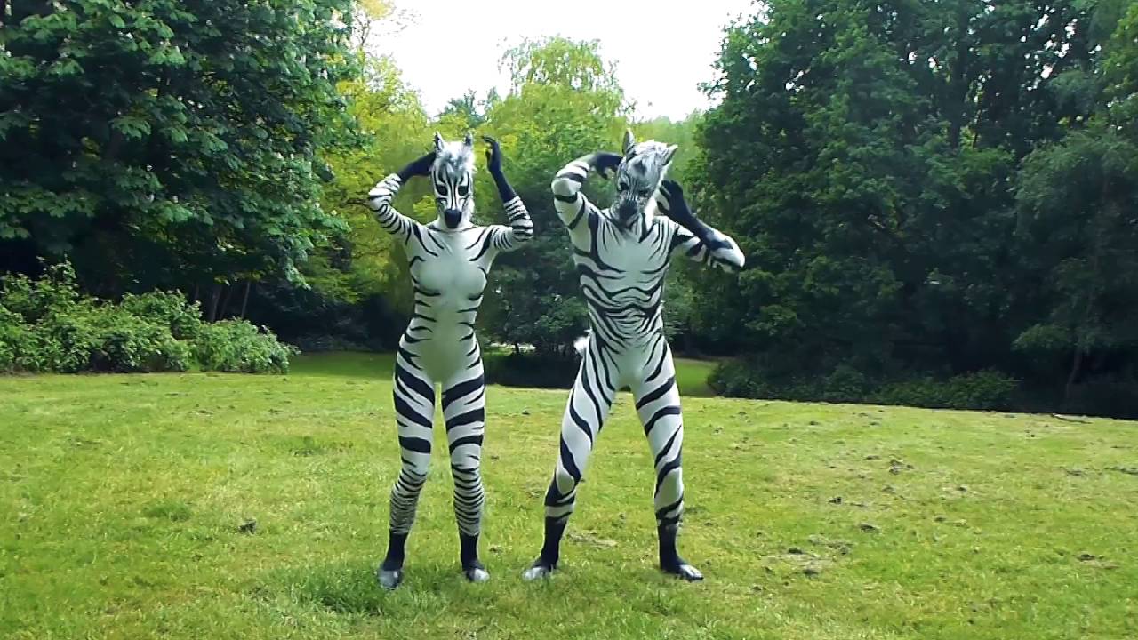 Humanimal - Various Walkabout Animals - Zebras Dance - YouTube