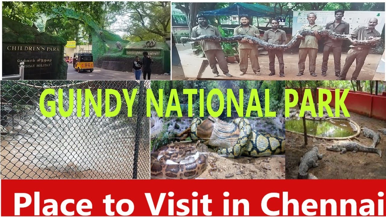 Tour to Guindy National Park | First time in YouTube | A Place to visit ...