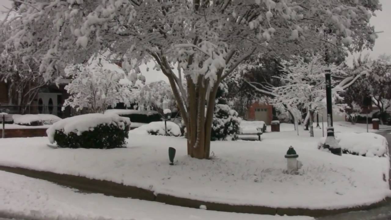 Addison Snow (Feb 2010) - YouTube