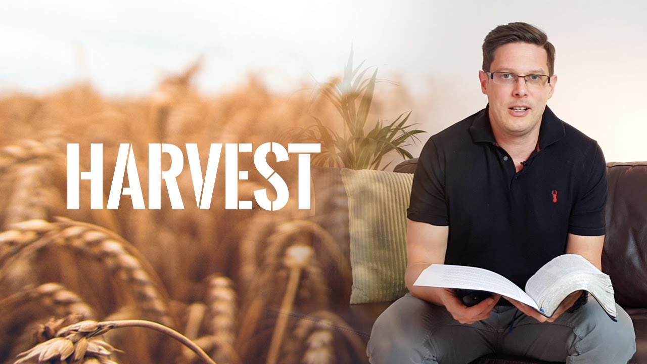Harvest - YouTube