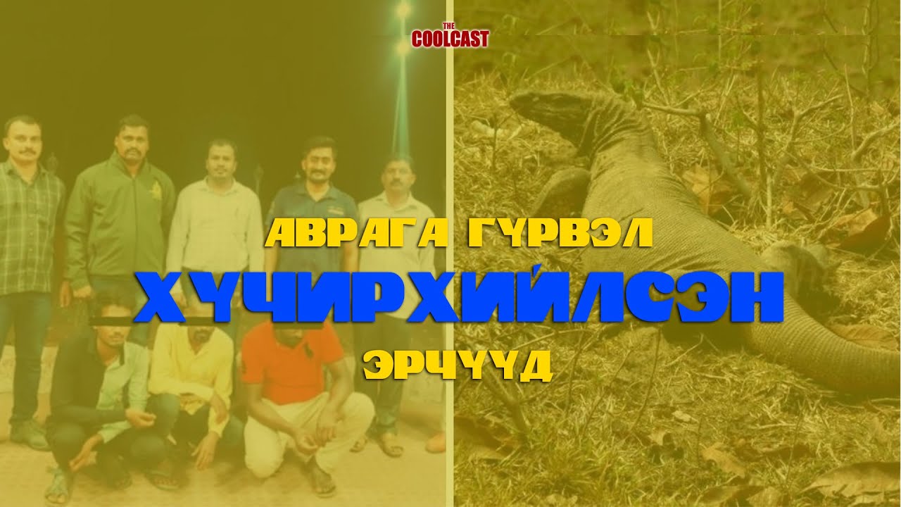 Гүрвэл хүчирхийлсэн гэх хэрэг ба Энэтхэгийн бас нэгэн гутамшиг Youtube