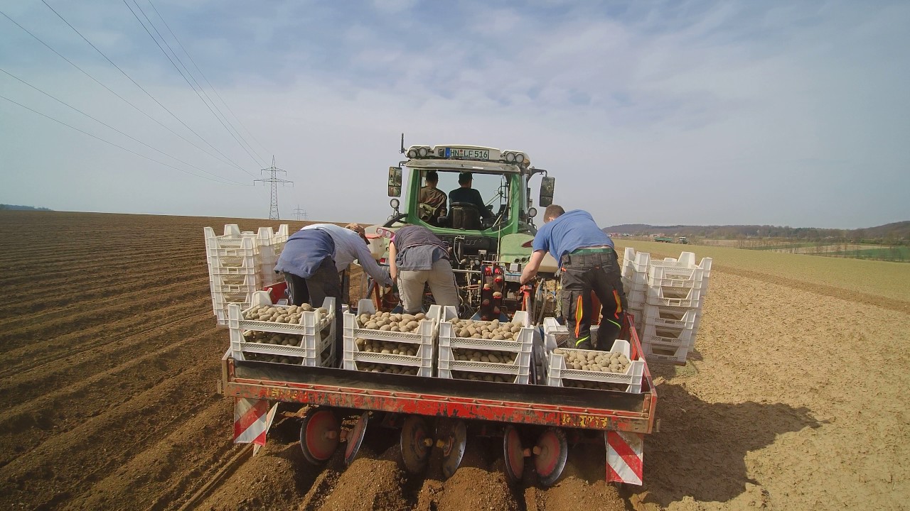 Kartoffeln stecken — 2017 - YouTube