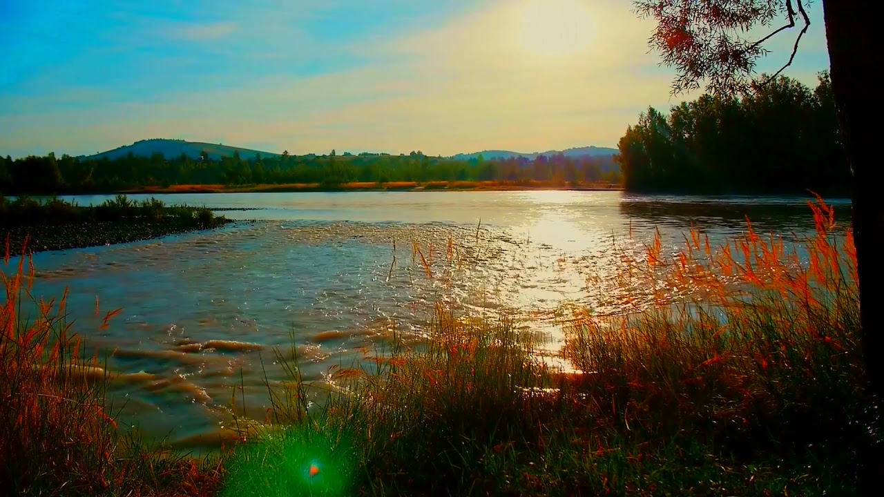 Relaxing River Sounds With Night Ambience Calming White Noise