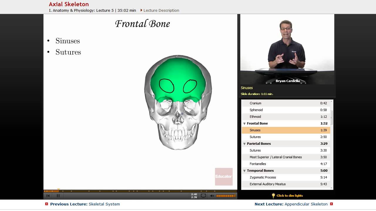 "Axial Skeleton" | Anatomy & Physiology with Educator.com - YouTube