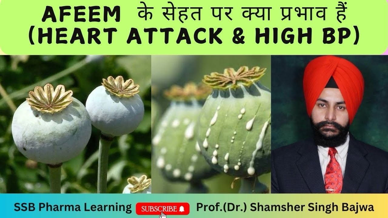 Opium (Afeem ) के सेहत पर क्या प्रभाव है (Heart Attack & High BP) - YouTube