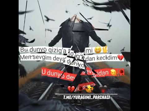 SEVGI HAQIDA QAYGULI SHER SEVGI HAQIDA SHER(1) - YouTube