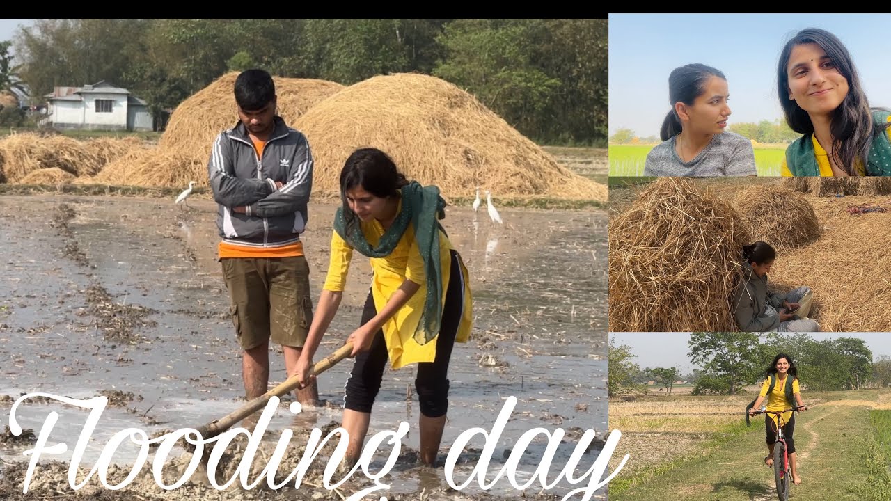 A Working day in the life of agriculture student//Research Work//Part1 ...