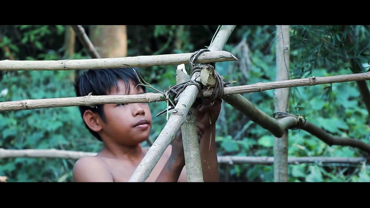 Primitive Technology | The boys built an frame hut - YouTube