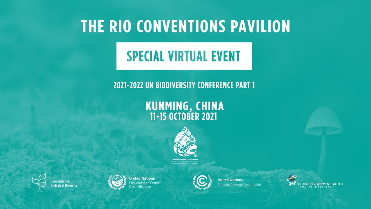 The Rio Conventions Pavilion, Special Virtual Event - YouTube