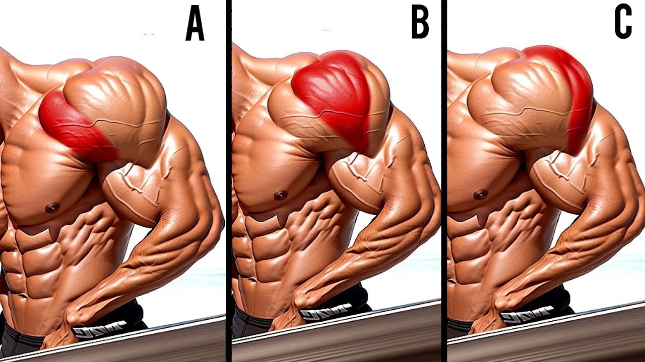 Build Front Delt Side Delt and Rear Delts for More Gains - YouTube