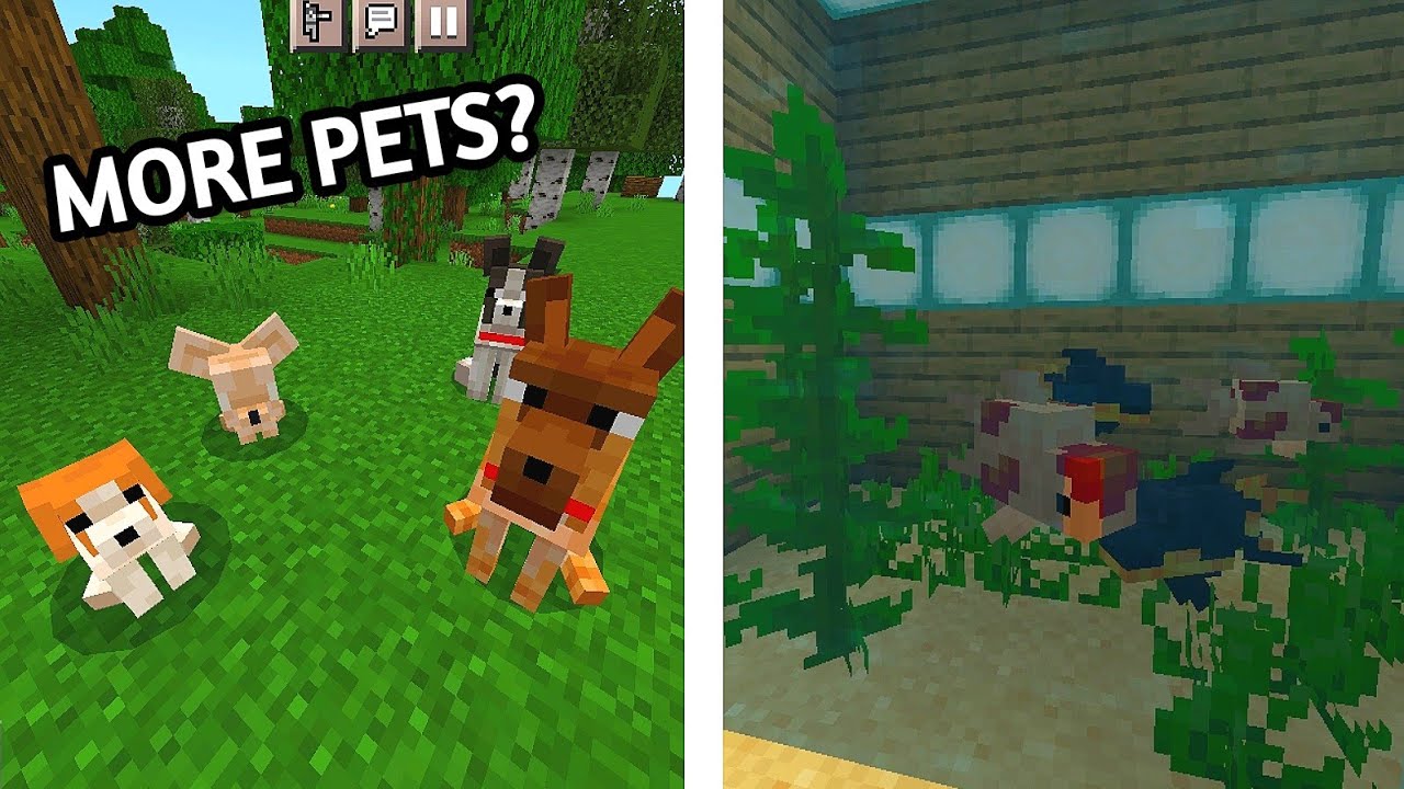 DOMESTIC PETS ADDON For Minecraft PE/Bedrock! (1.19+) - YouTube