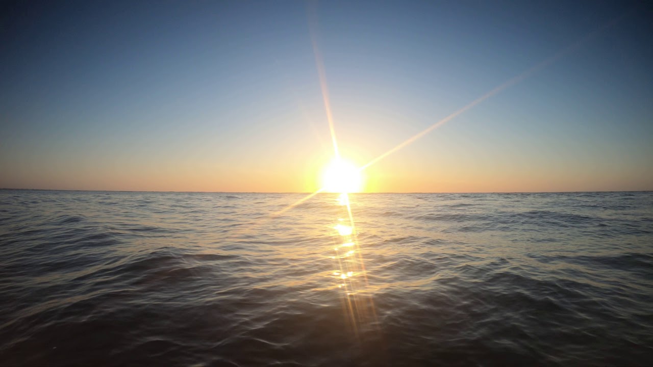 Reveal The Light - Raw 4K - YouTube