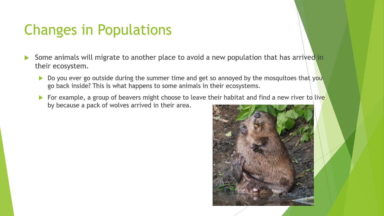 How Do Changes Cause More Changes? - YouTube