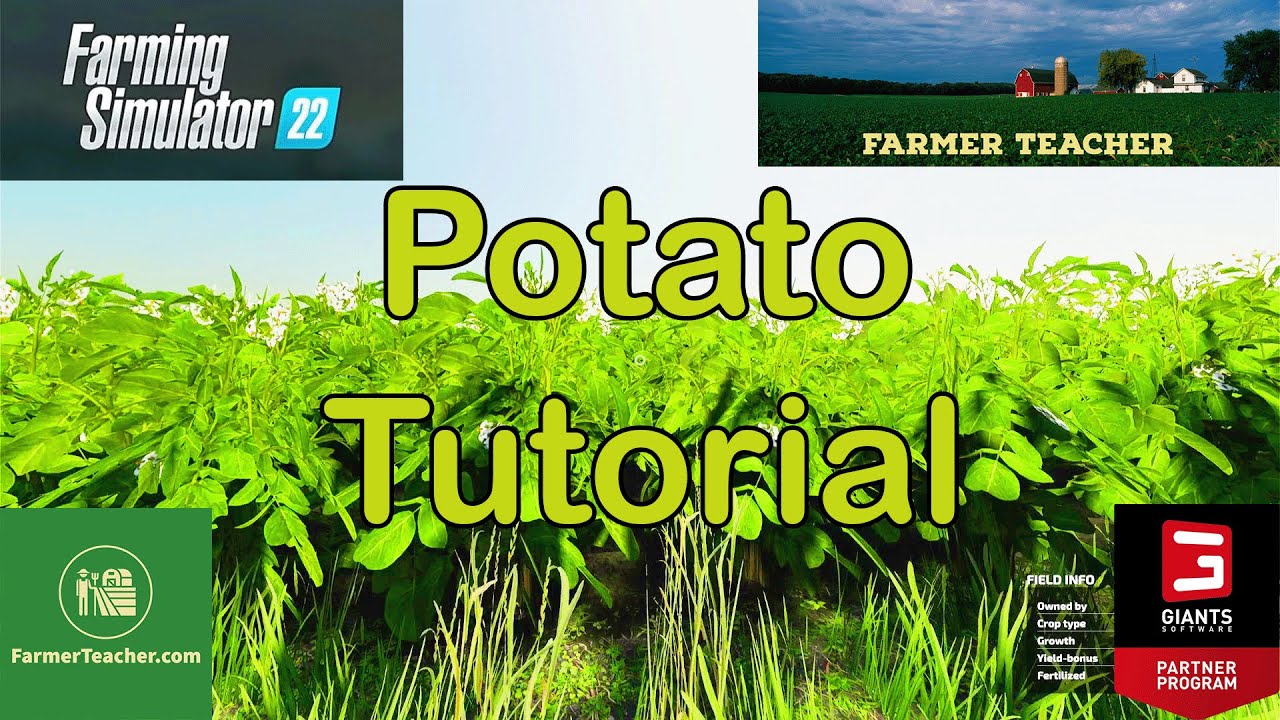 Planting, Growing, and Harvesting Potatoes in FS22 - YouTube