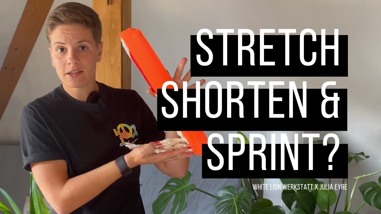 Stretch-Shortening Cycle and Sprinting: what's ankle stiffness got to ...