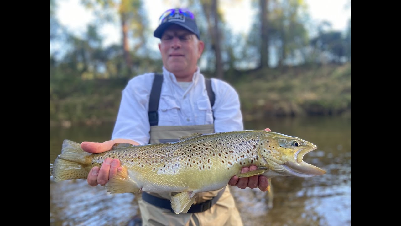 Epic morning on the Soque River - Monster Brown #personalbest - YouTube