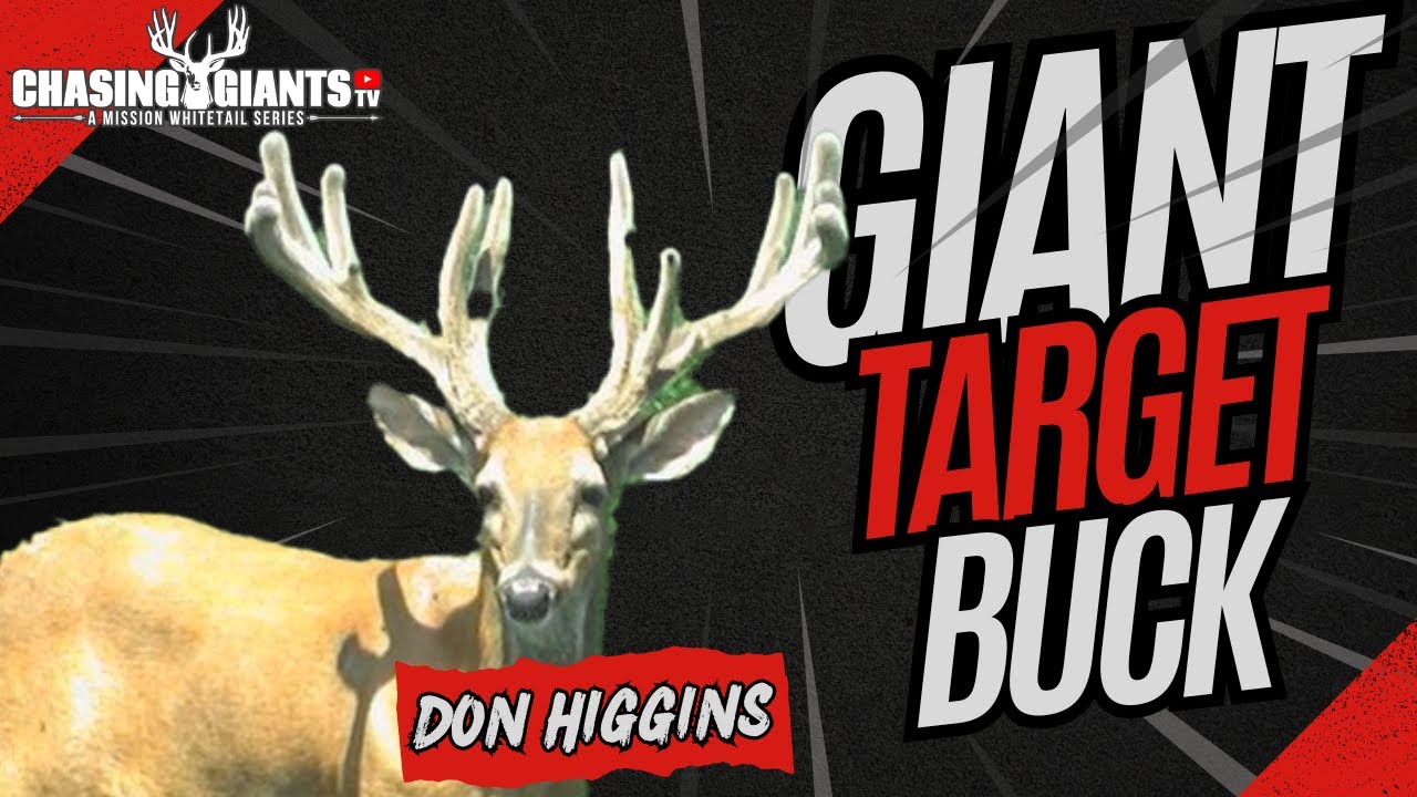 Giant Non-Typical Target Buck - History of Don's Target Buck - YouTube