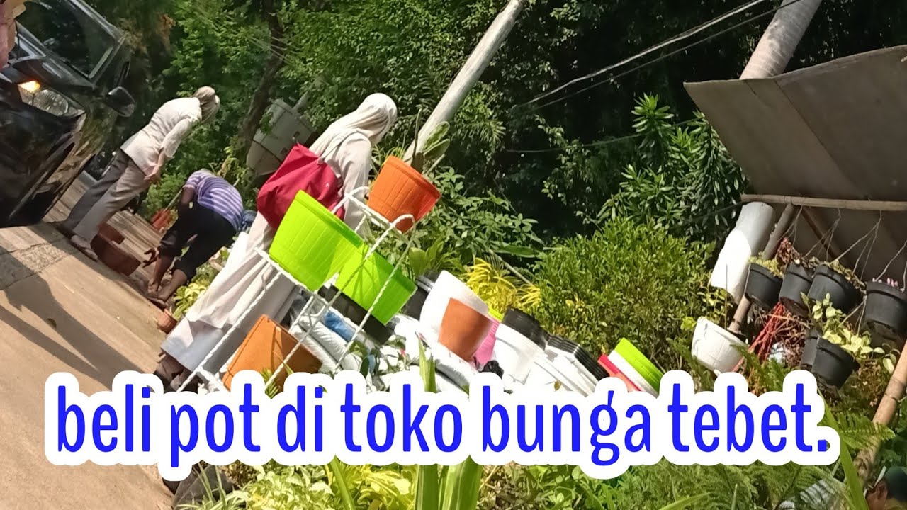 Beli pot di toko bunga taman honda tebet. Murah banget - YouTube