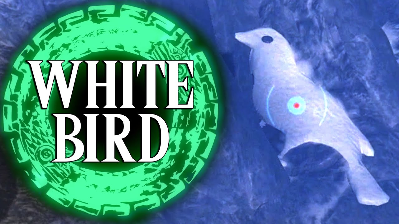 The White Bird's Guidance - Tears of the Kingdom - YouTube