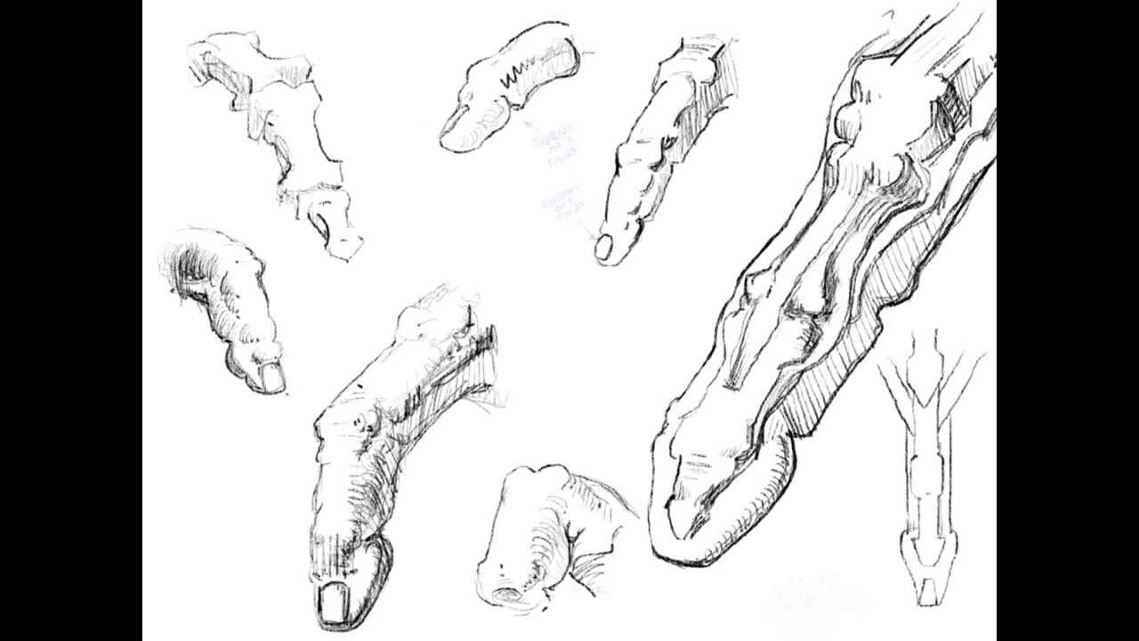 Constructive Anatomy Fingers Mechanism of the First Finger pg 35 - YouTube