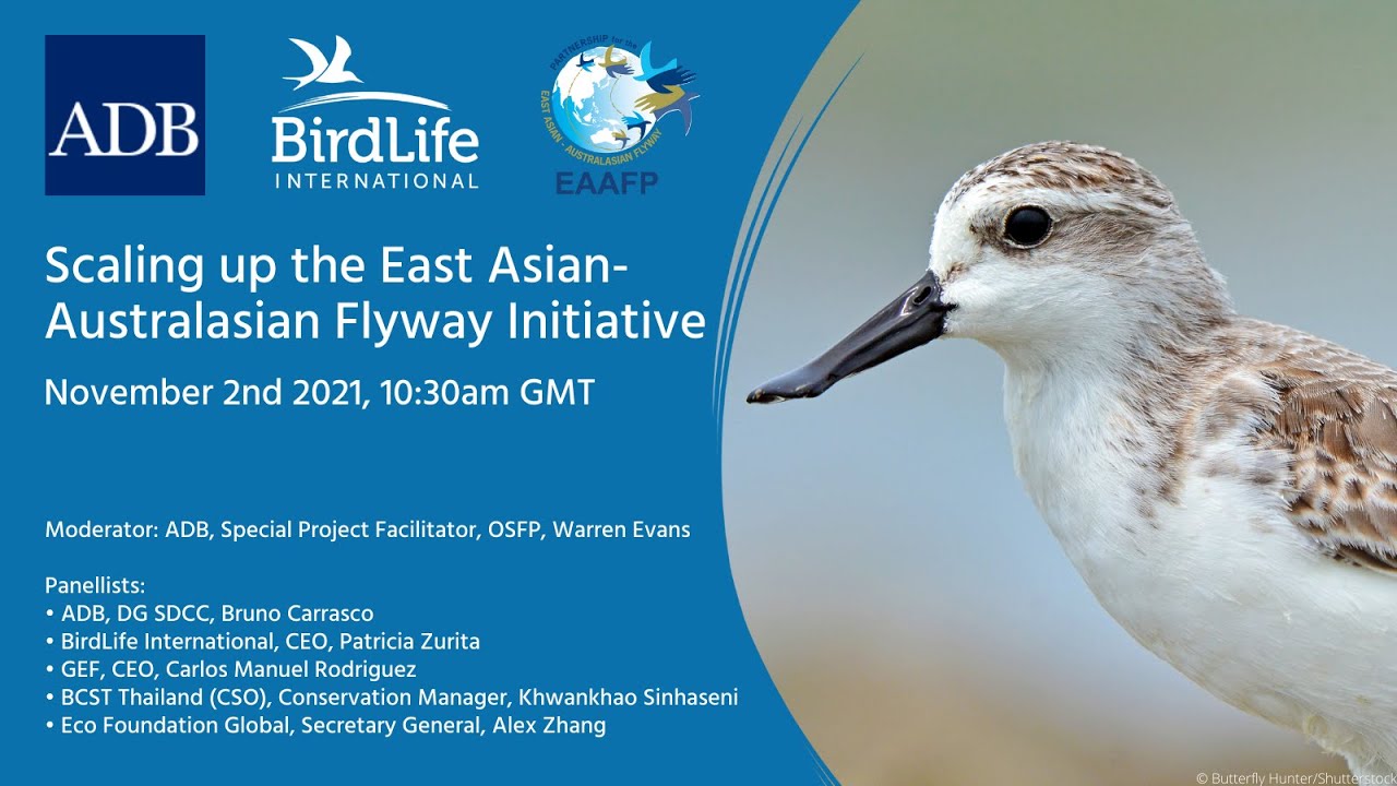 Scaling up the East Asian-Australasian Flyway Initiative - YouTube