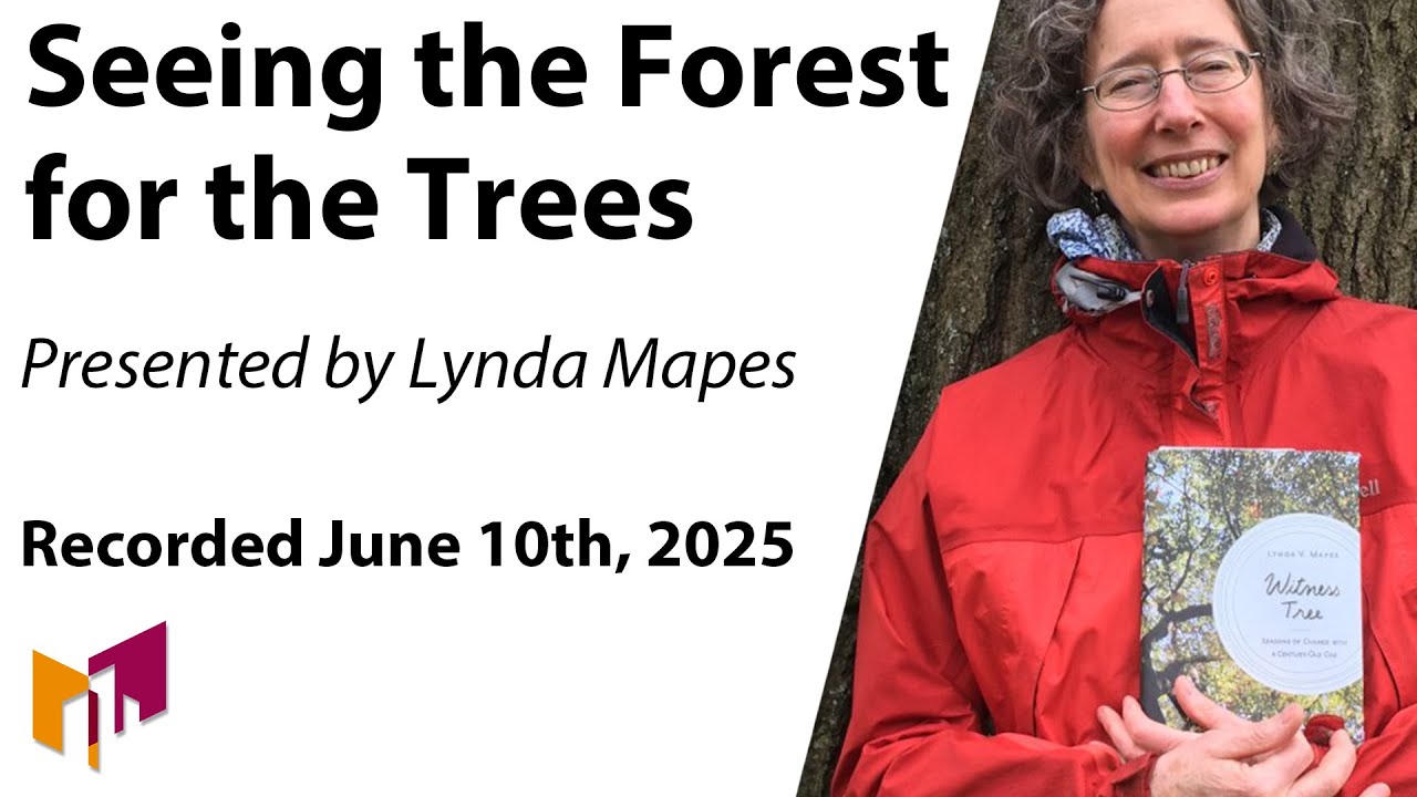 Seeing the Forest for the Trees - Lynda Mapes from The Seattle Times - YouTube