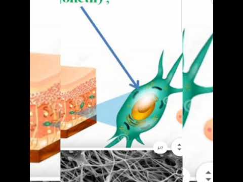 chapitre 06 (la matrice extracellulaire 🧫💉🧪🧪) - YouTube