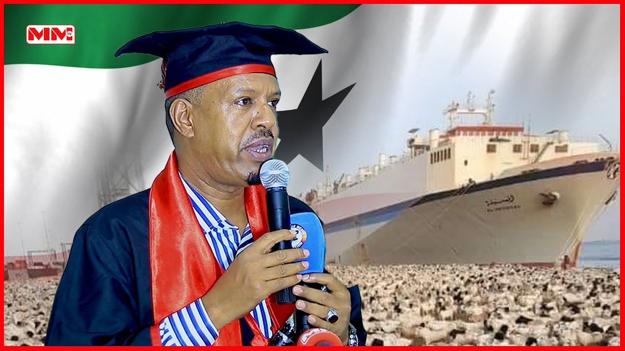 Xukuumada Somaliland oo sheegtay tirada xoolaha sanadkan ka dhoofey ...