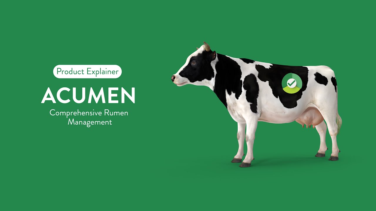 Acumen: Comprehensive Rumen Management - YouTube