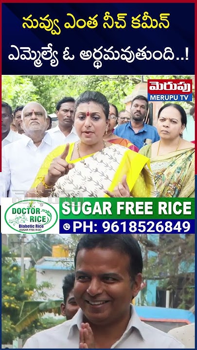 RK Roja Sensational Comments On Nagiri MLA Gali Bhanu Prakash | TDP vs YCP | Meruputv - YouTube