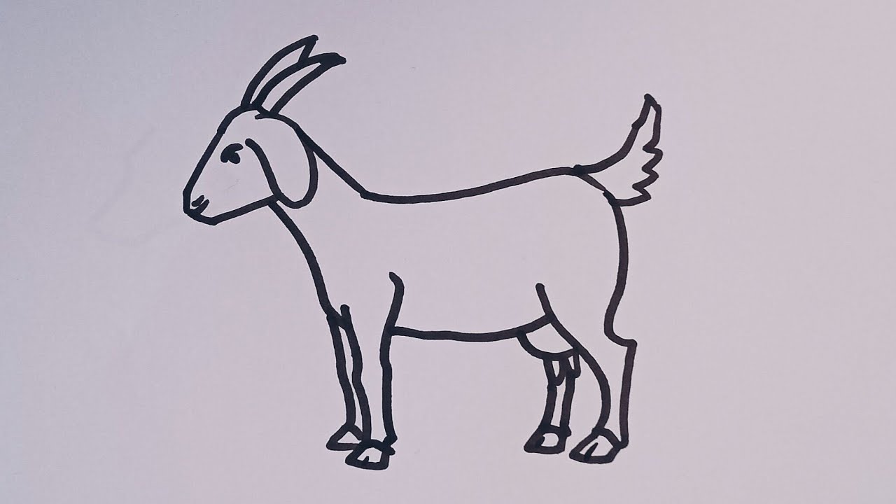 How to draw a Goat 🐐 Easy step by step - YouTube