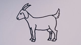 How To Draw A Goat Easy Drawing Step By Step Easy Goat Outline Drawing ...