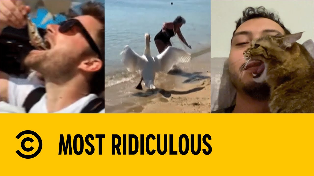 Pesky Pets | Most Ridiculous - YouTube