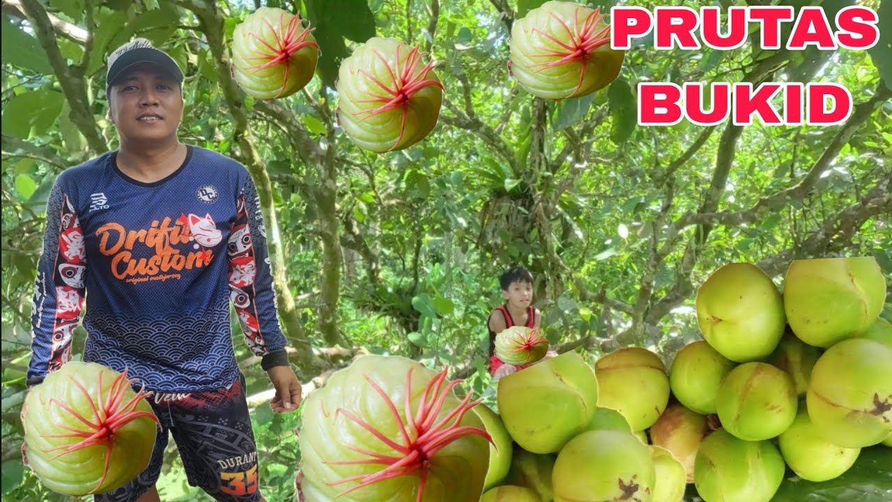 Hitik sa bunga Prutas gubat (CATMON) May nag order...Pangunguha nga Nga ...