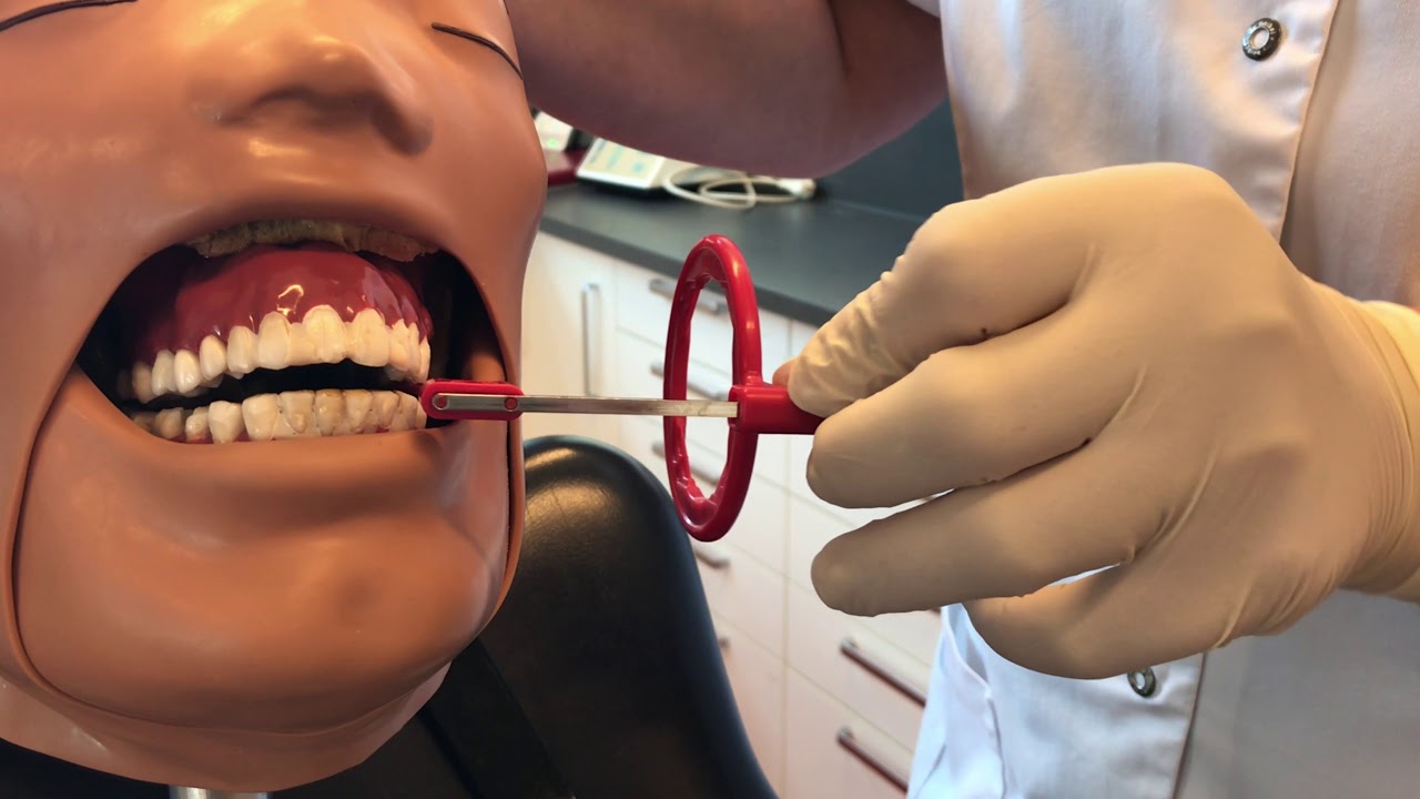 Korte instructievideo: Röntgenopname maken met instelapparatuur - YouTube