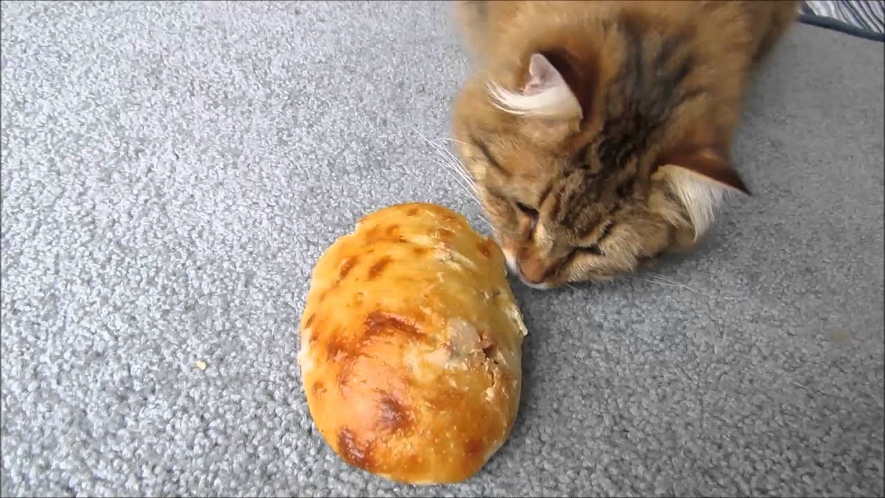 The Bread Thief - YouTube