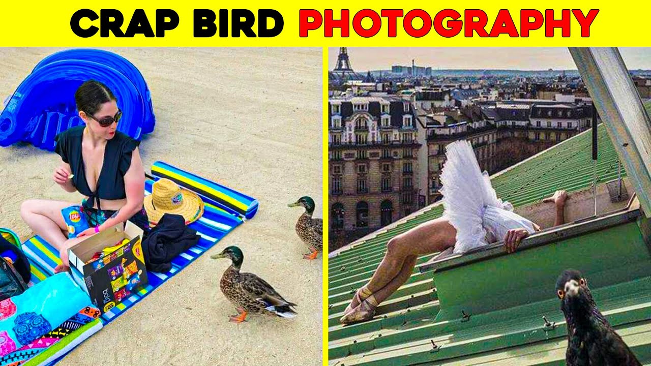 Crappy Bird Photos That Are So Bad They’re Good - YouTube