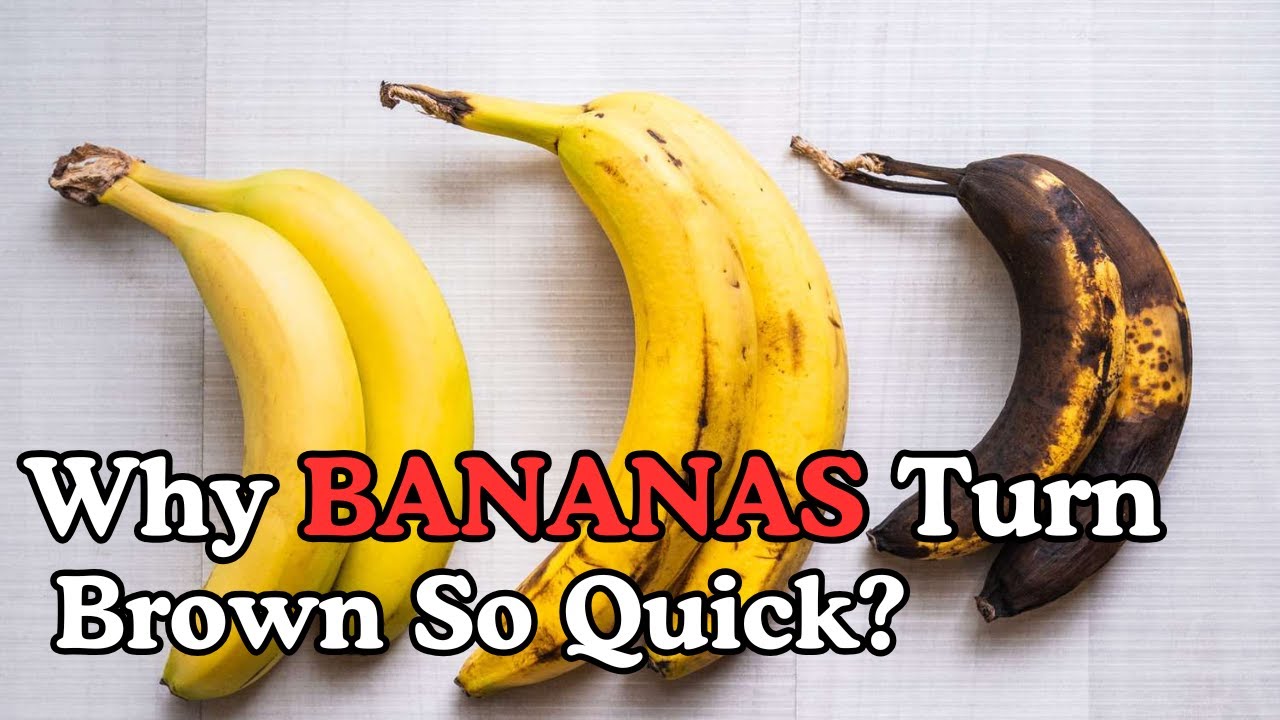 Why Banana Turn Brown So Quickly? (Surprising Science Behind This ...