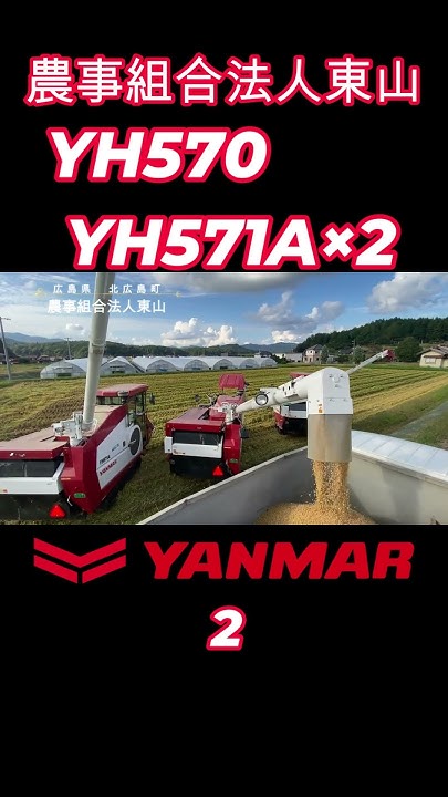 YH570 YH571A×2 2 ヤンマーコンバイン #shorts #農業 #稲刈り #ヤンマーコンバイン #広島県 #北広島町#農家直売 - YouTube