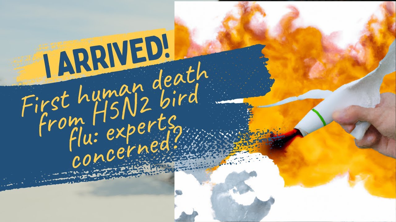First human death from H5N2 bird flu: experts concerned? #birdflu # ...